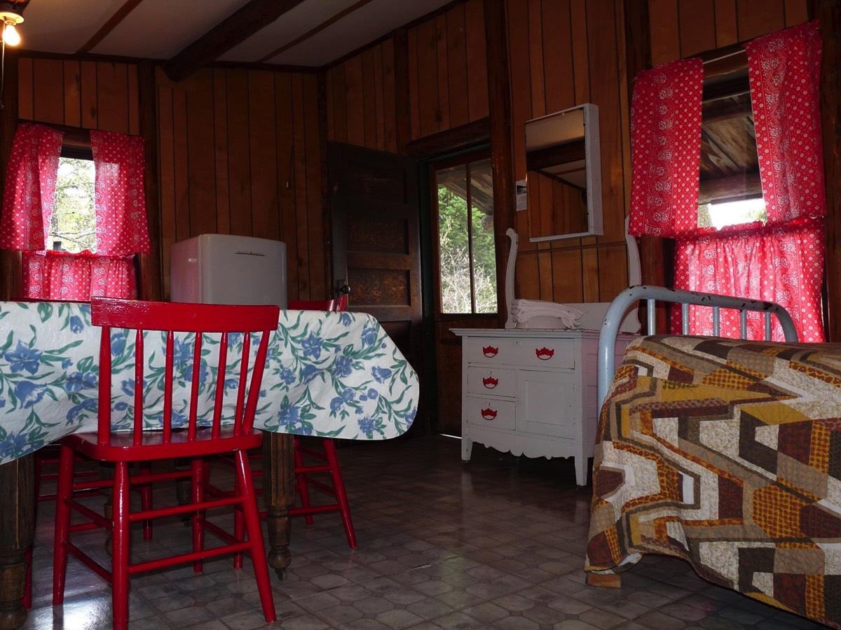 Willie | Camp Tuffit